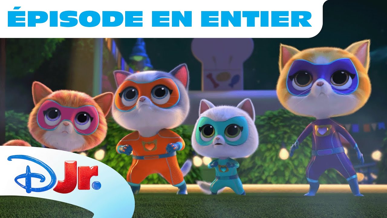 SuperChatons - Moment Magique : Les SuperChatons et Chaloween - YouTube