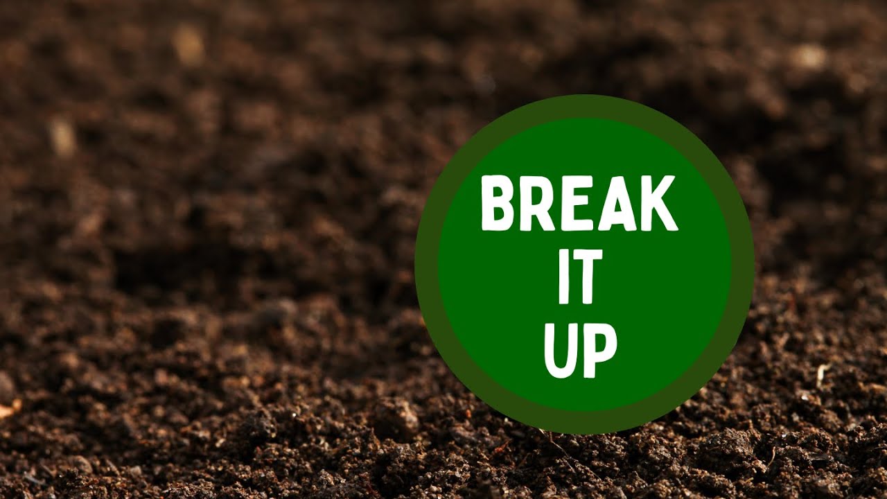 Sunday Sermon | Break It Up | January 19th 2025 - YouTube