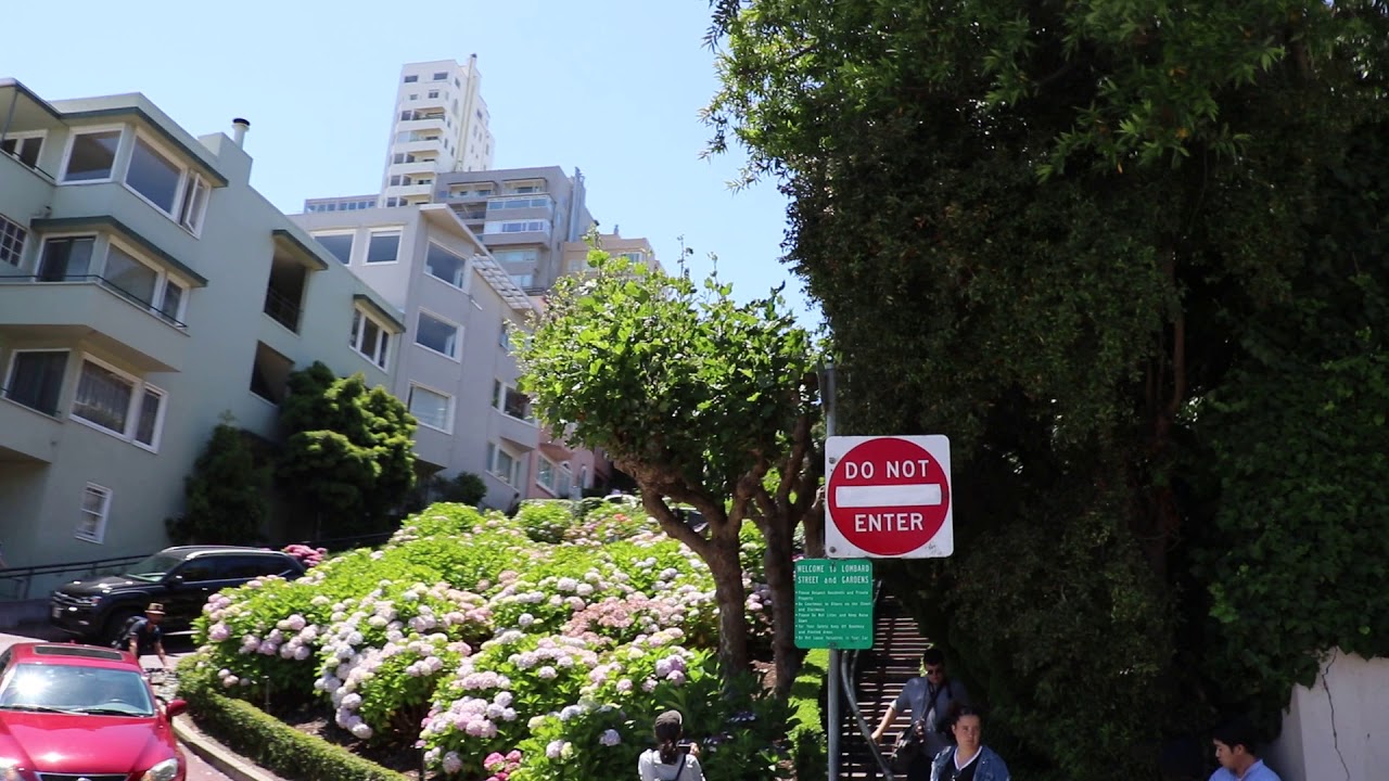 Painted Ladies Bus Tour 1 - YouTube