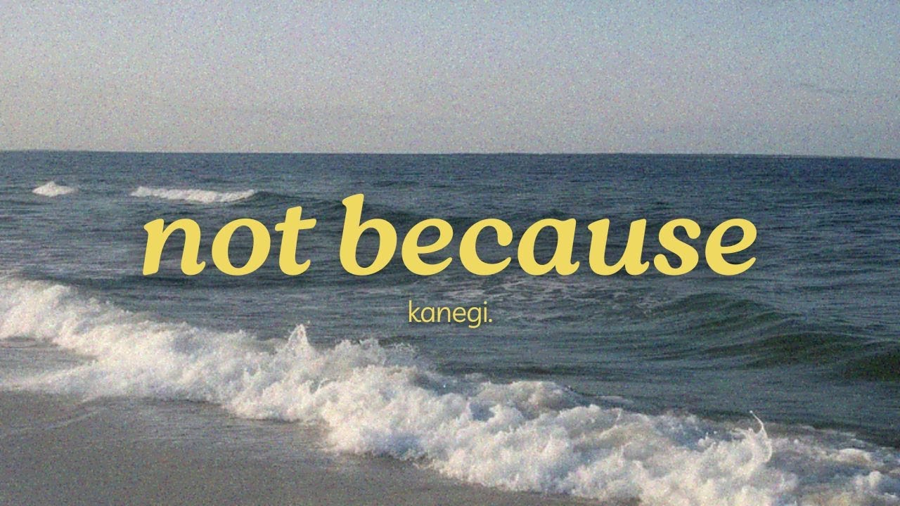 kanegi. - not because (official lyric video) - YouTube