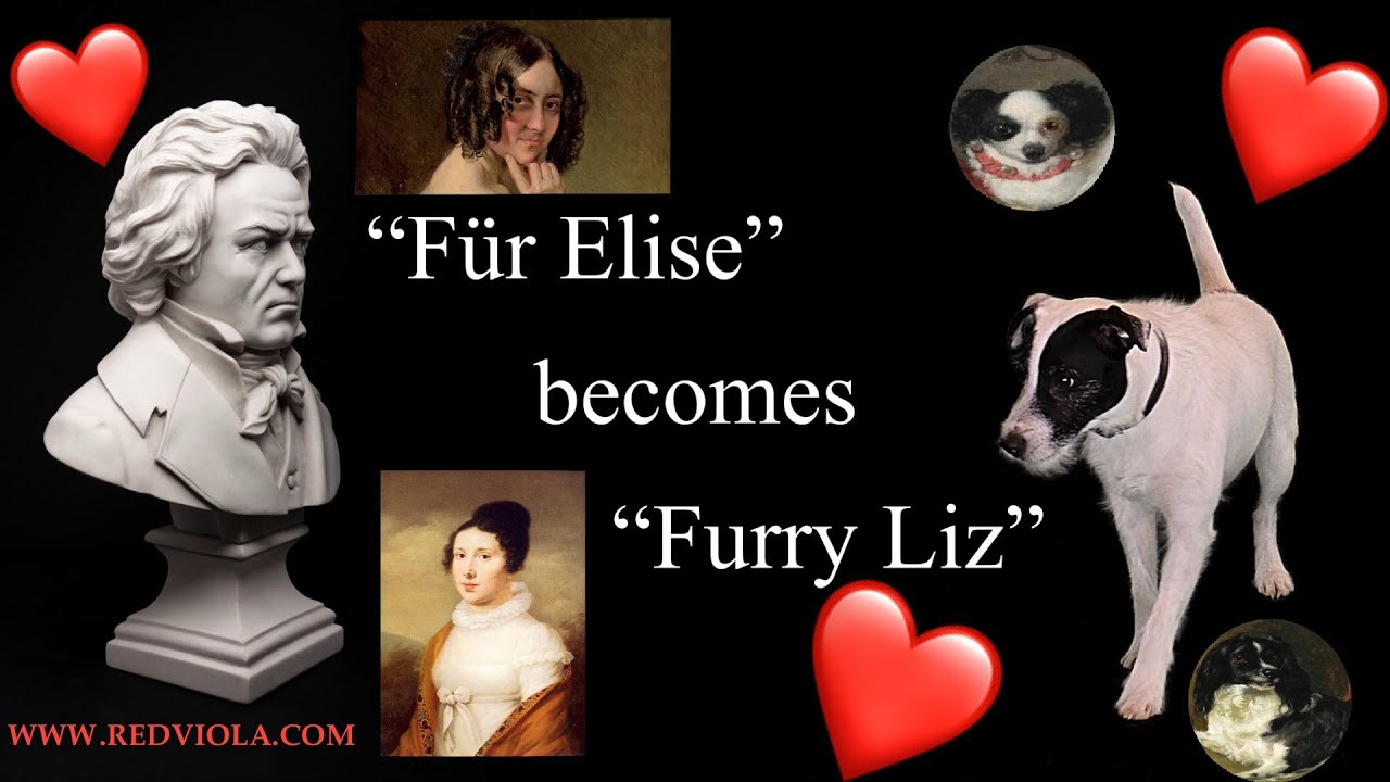 Beethoven's Für Elise becomes Furry Liz with Baci and Victoria ...