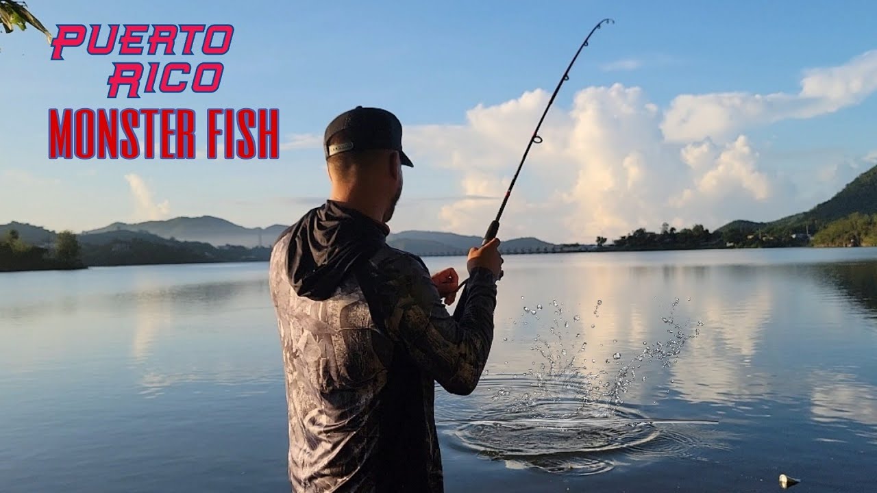 Pescando en Puerto Rico. lago guayabal (2do dia )🇵🇷🔥 - YouTube