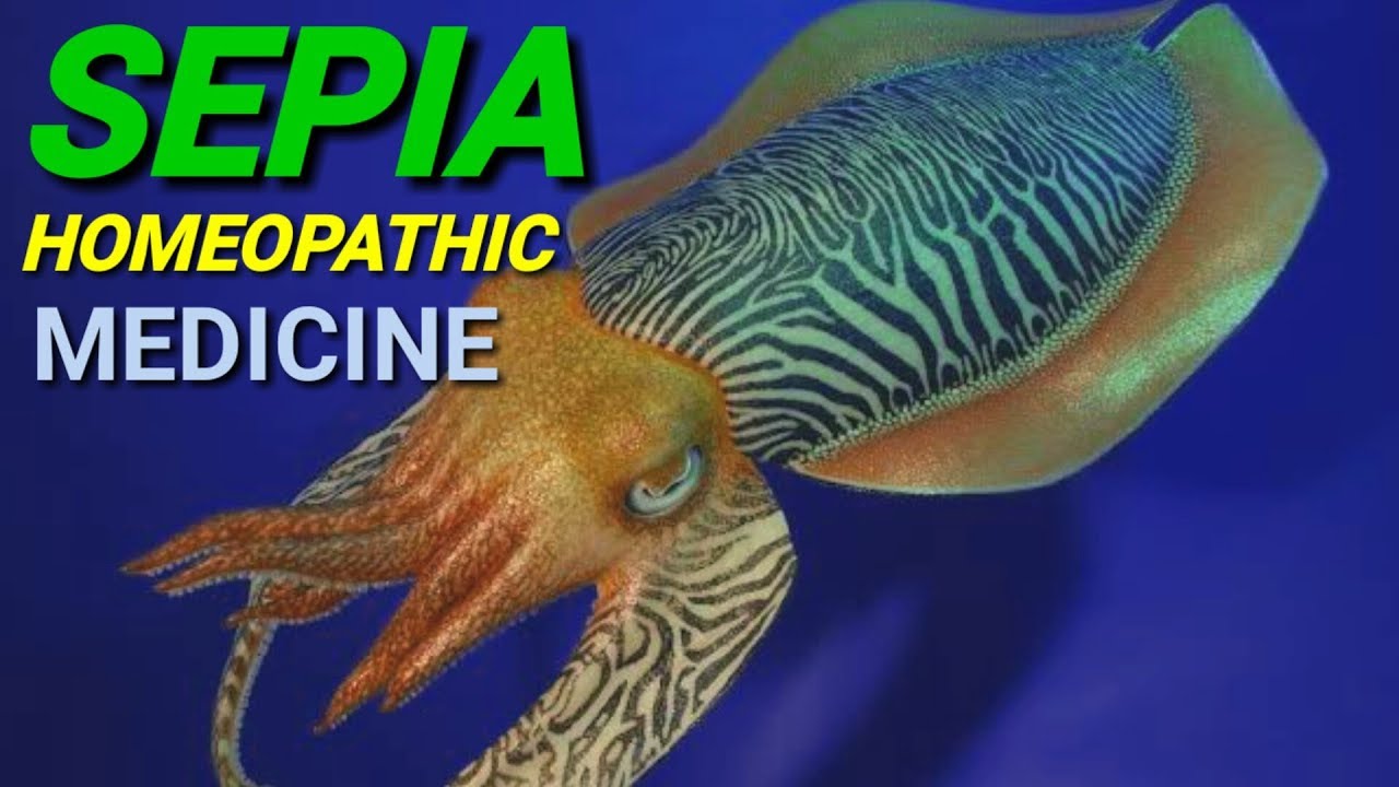 Sepia sucus homeopathy medicine Use and sign & symptoms - YouTube