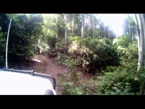 Chichester State Forest - YouTube