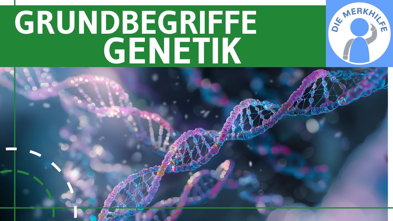 Grundbegriffe der Genetik - Gene, DNA, Proteinbiosynthese, Zellteilung ...