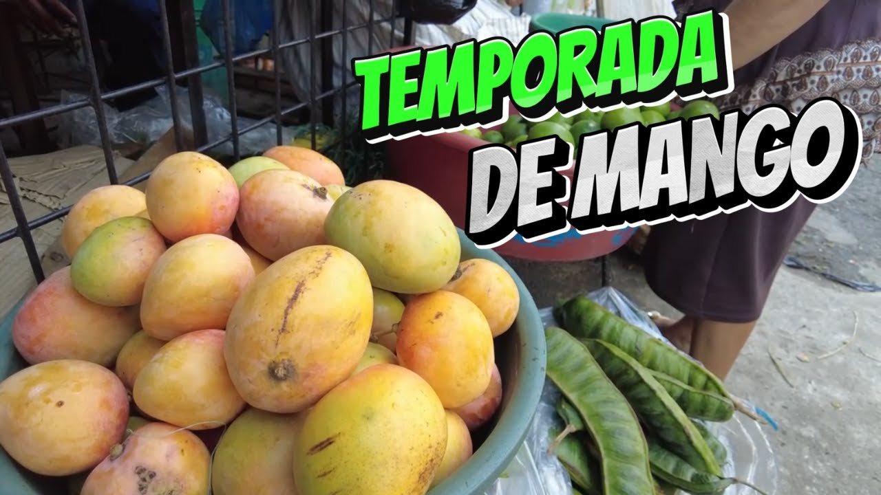 TEMPORADA DE MANGOS MERCADO COLON - YouTube