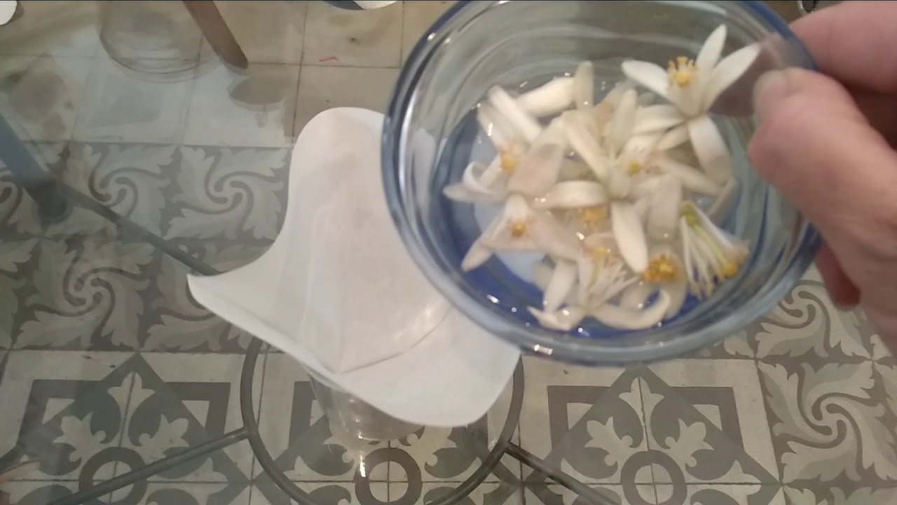 Tintura madre de Elixir floral. (Cómo hacer elixir de azahar.Parte 2) - YouTube