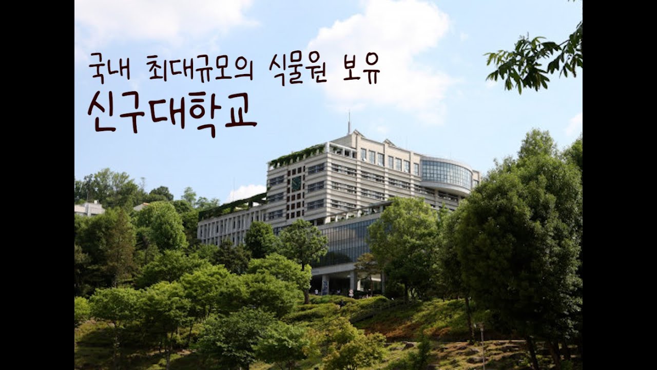 ep44) 4K 신구대학교 캠퍼스 투어/캠퍼스 드론/University Of South Korea/SHINGU ...