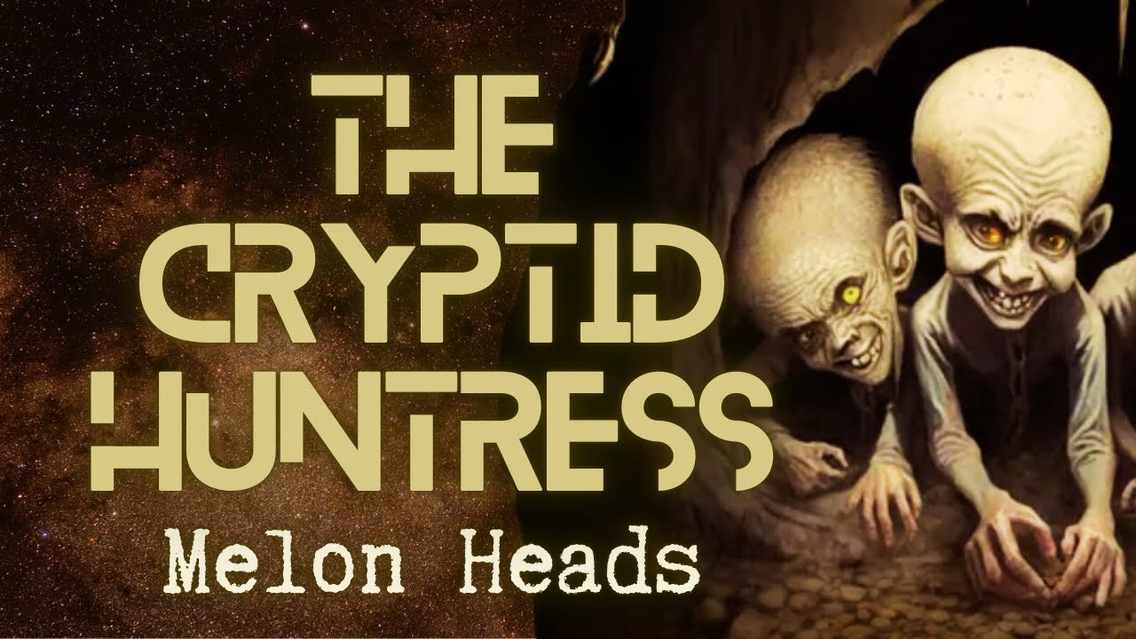 NORTH AMERICAN MELON HEADS WITH DR. DENNIS CARROLL - YouTube