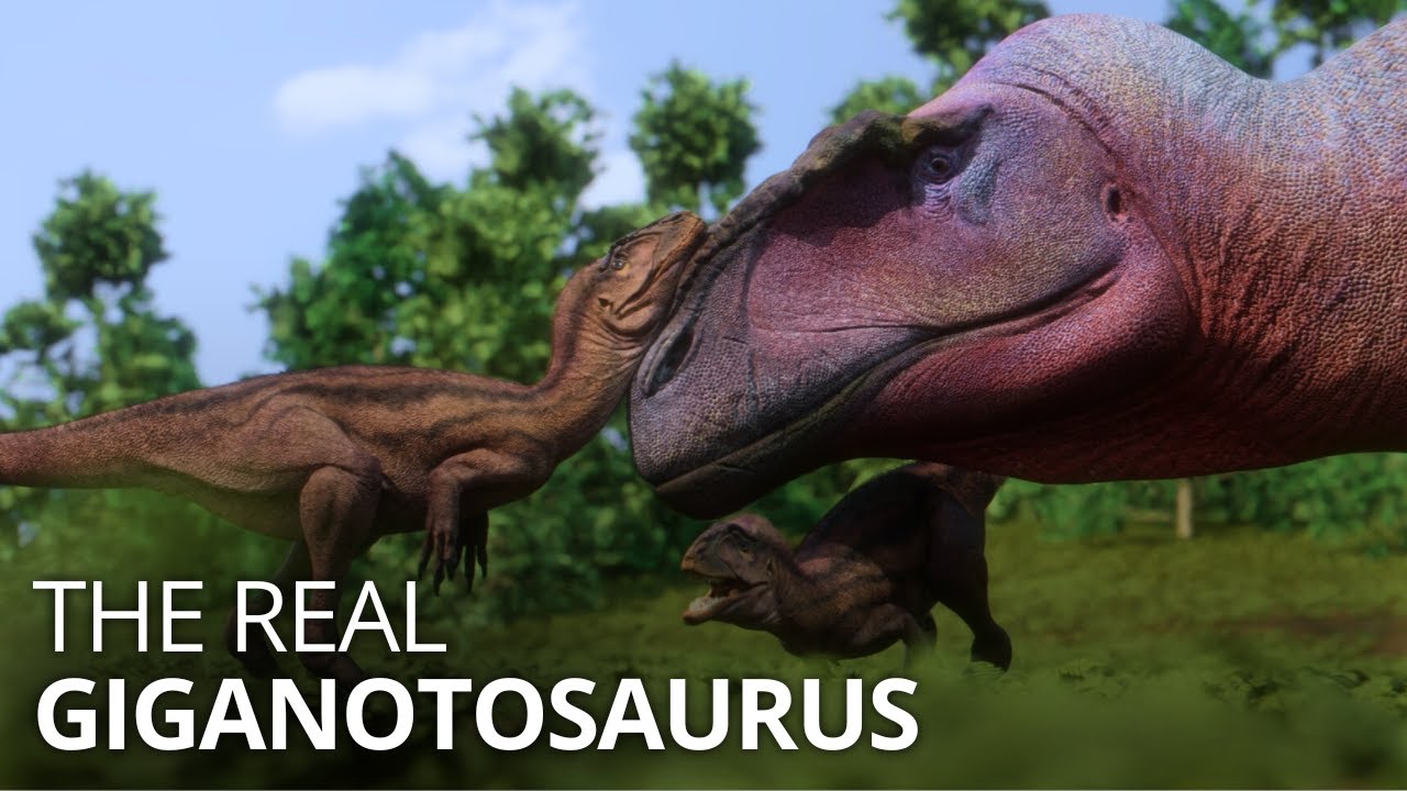 The life of Giganotosaurus (SHORT FILM) - YouTube