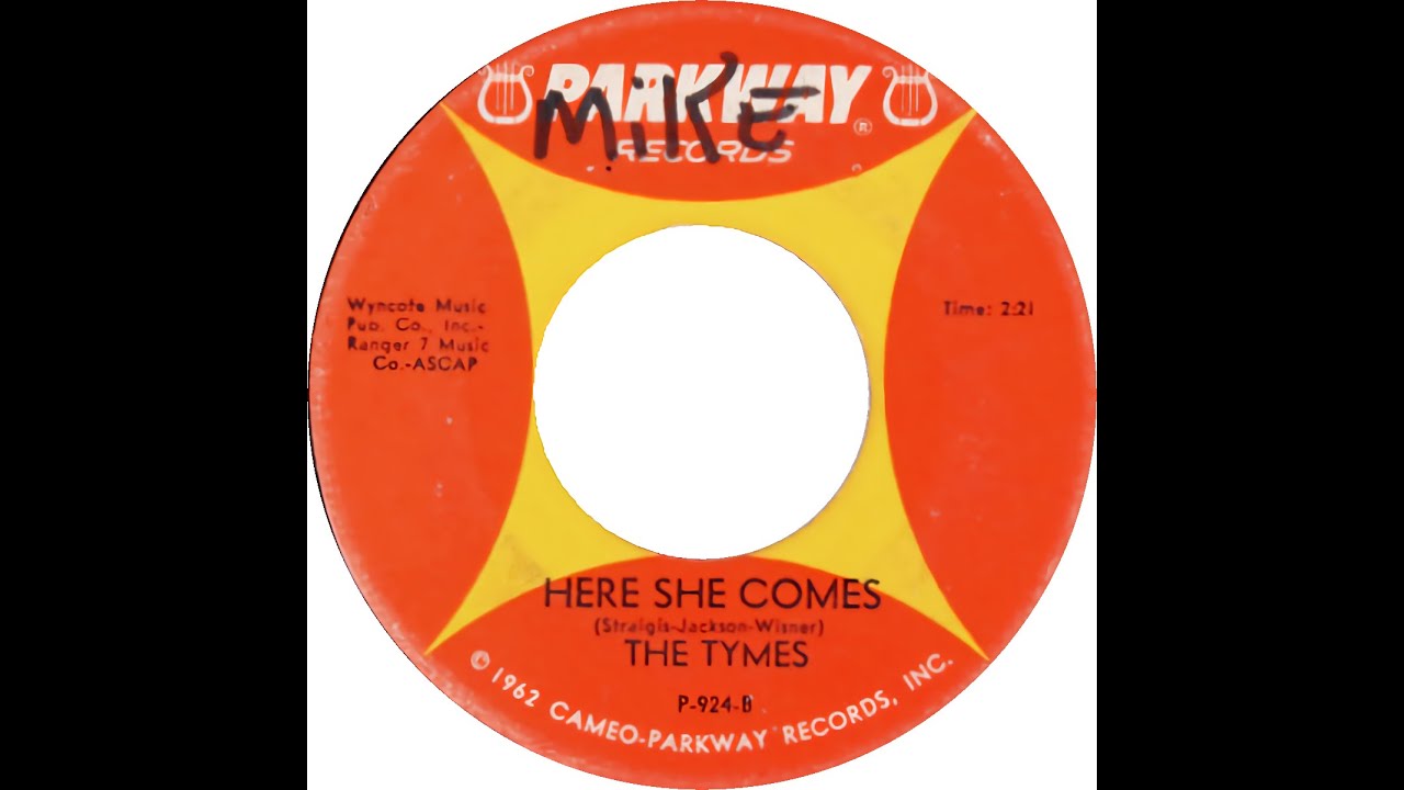 THE TYMES HERE SHE COMES - YouTube