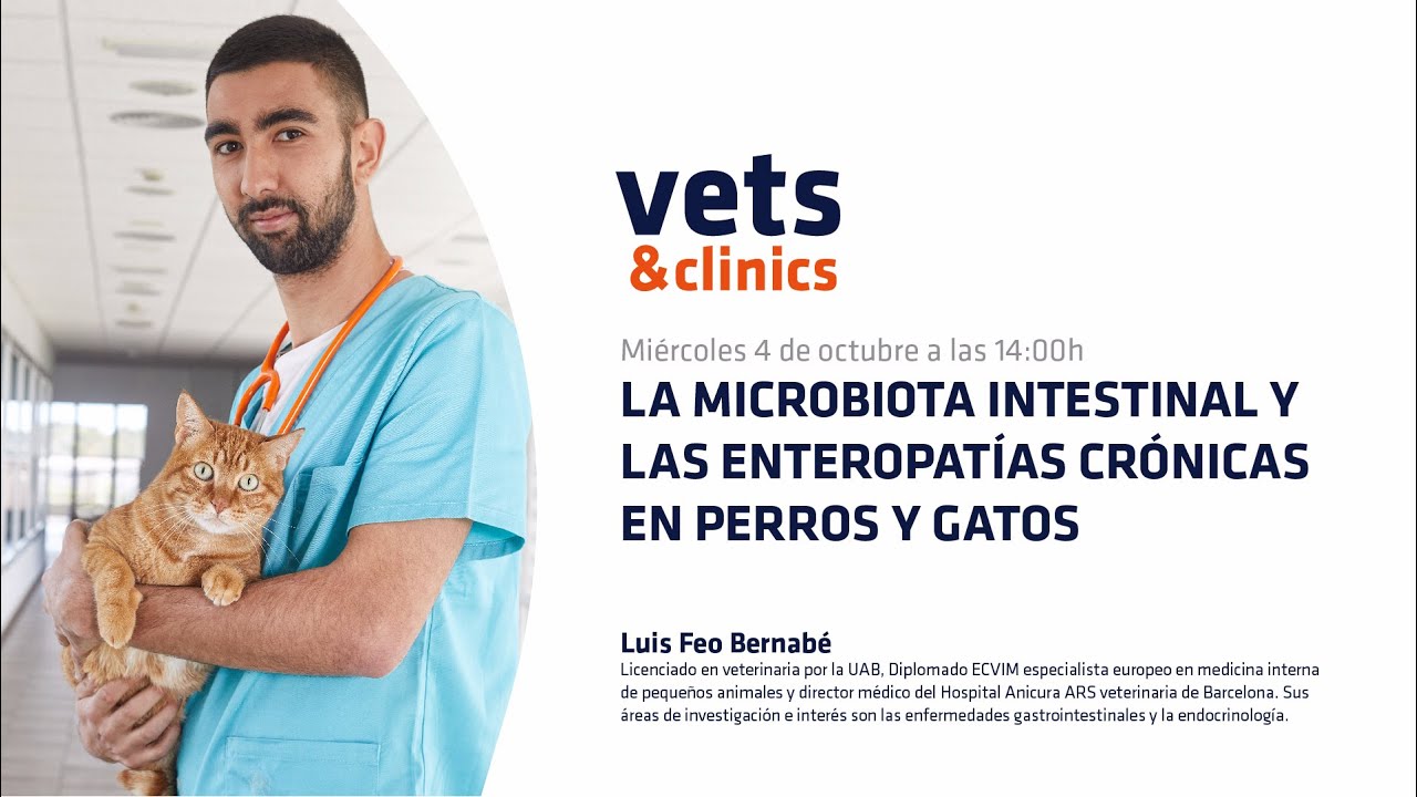 66. ES Introducción a la microbiota intestinal en perros y gatos - YouTube
