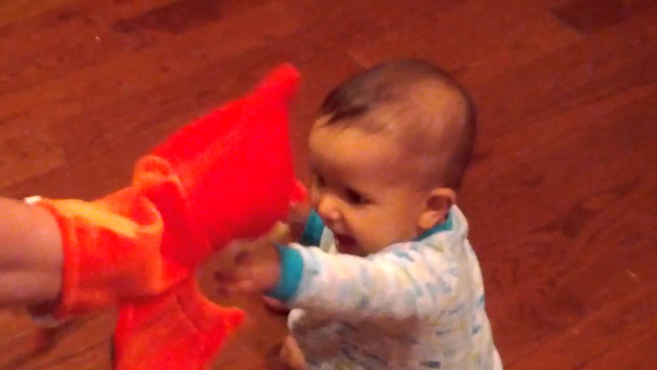 Caden ryan - YouTube
