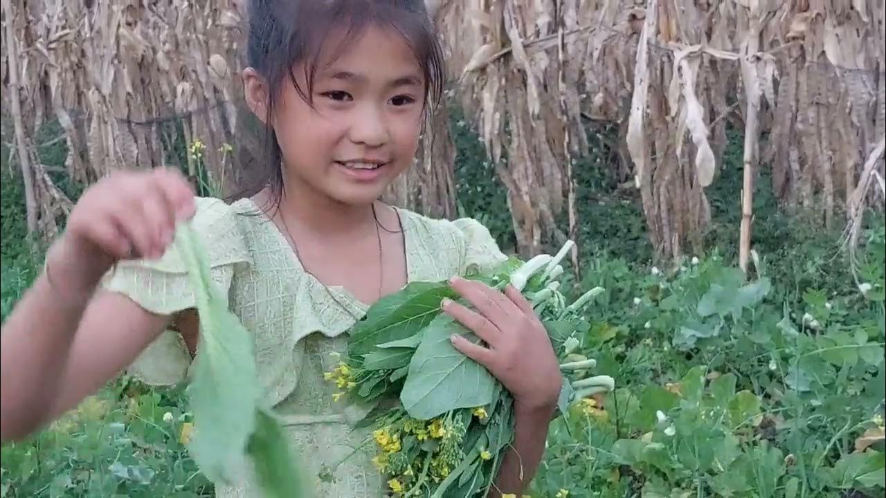 kuv paj nra yaj rov los ua hauj lwm pab tsev neeg li txhua hnub - YouTube