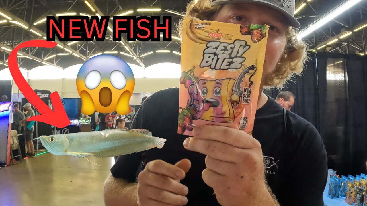 met Finatic at Aquashella 2025 and got a new fish😮‼️ - YouTube