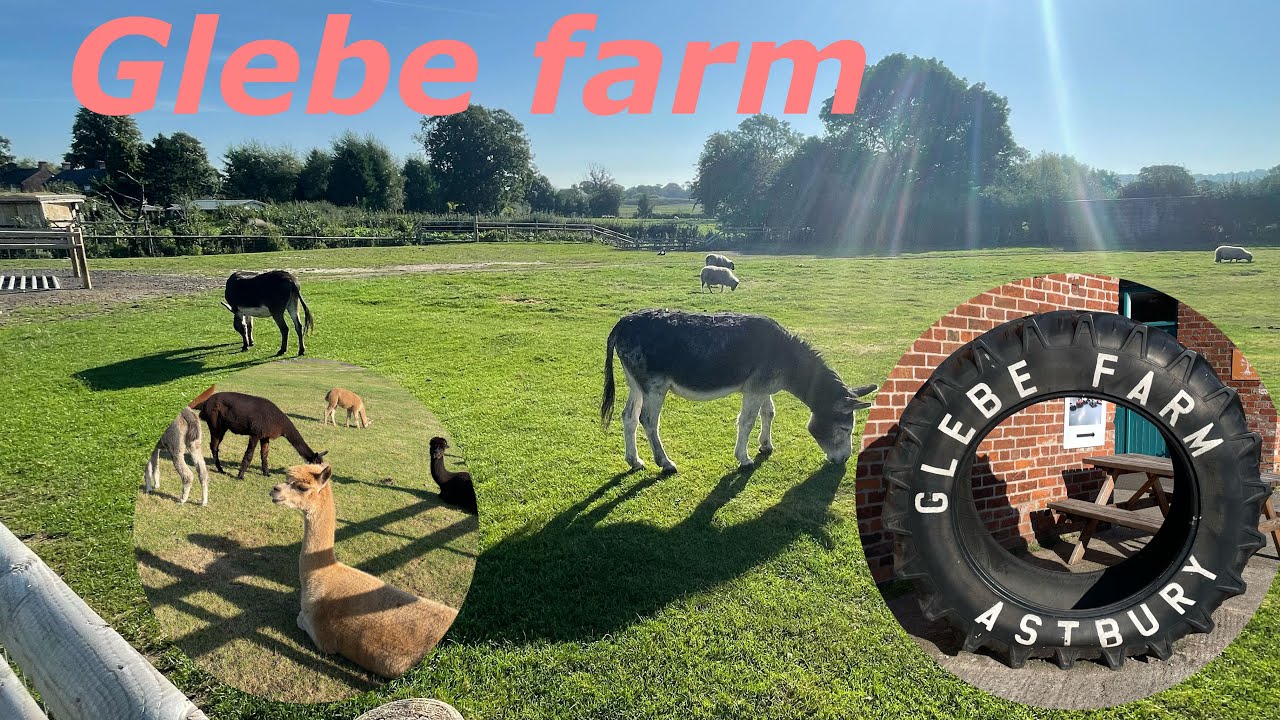 GLEBE FARM - YouTube