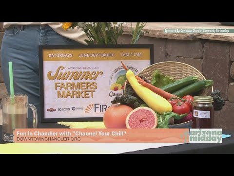 BINGO! Channel your Chill in Chandler, Check out Summer Activities for the Family
