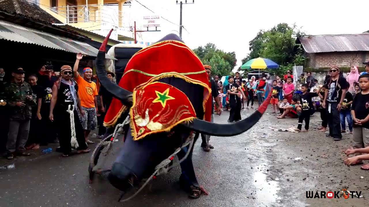 KESENIAN KEBO NDANU DANYANG - YouTube