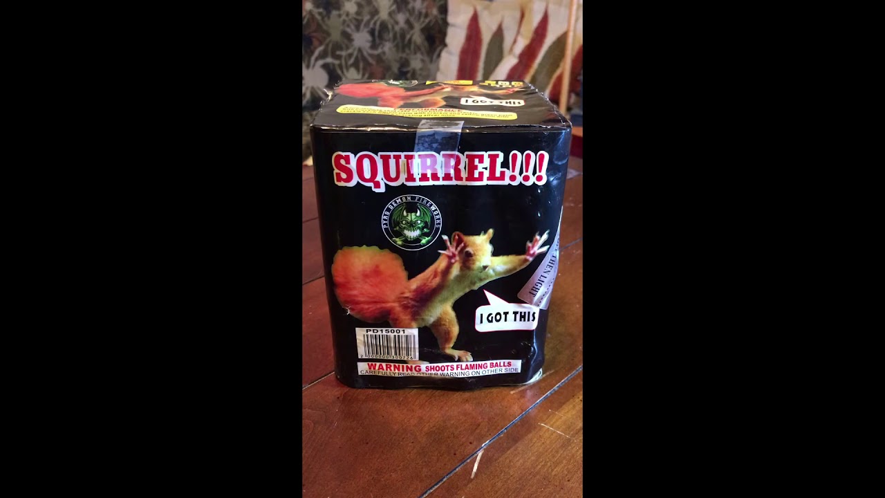 Squirrel !!! - by Pyro Demon (200-Gram Aerial Firework) - YouTube