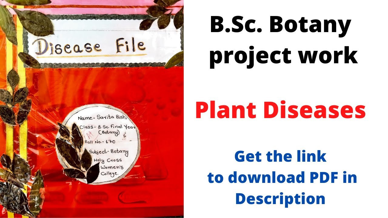 Disease file / UG / B.Sc. Botany project work😍 - YouTube