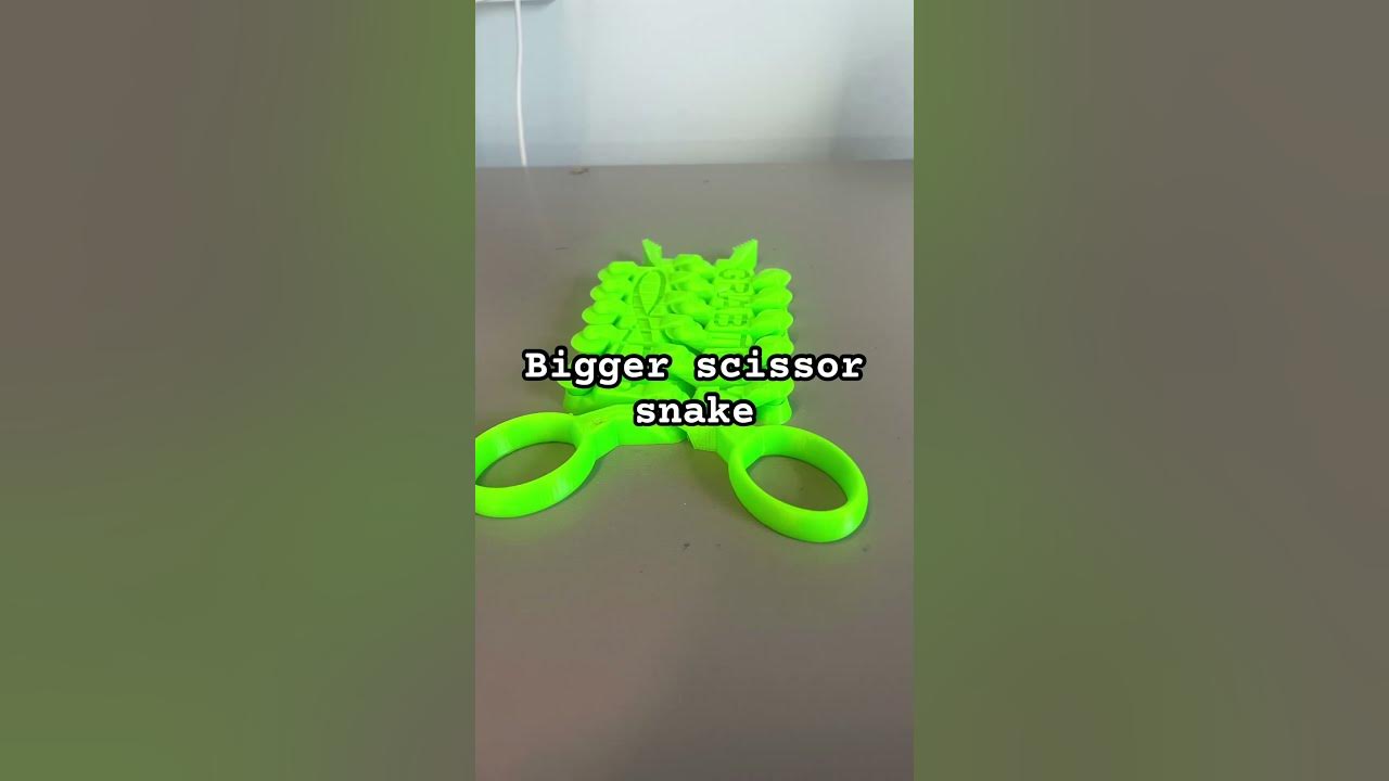 Scissor snake - YouTube