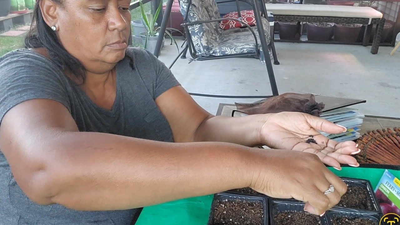 #Onions & #Carrots, dropping seeds for Fall. - YouTube