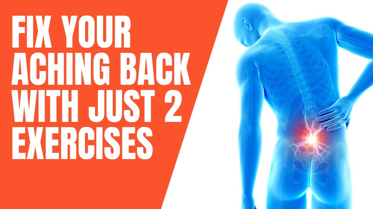 2 Quick Back Mobility Exercises to Relieve Lower Back Pain | Back Pain ...