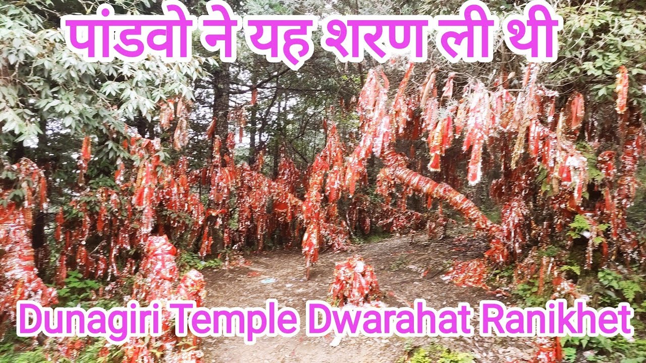 Visit to Dunagiri temple dwarahat ll Dunagiri mandir ll famous temples ...