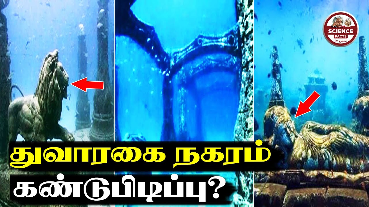 Dwarakha found | கடலுக்கு அடியில் துவாரகை நகரம் கண்டுபிடிப்பு ? | SFIT ...