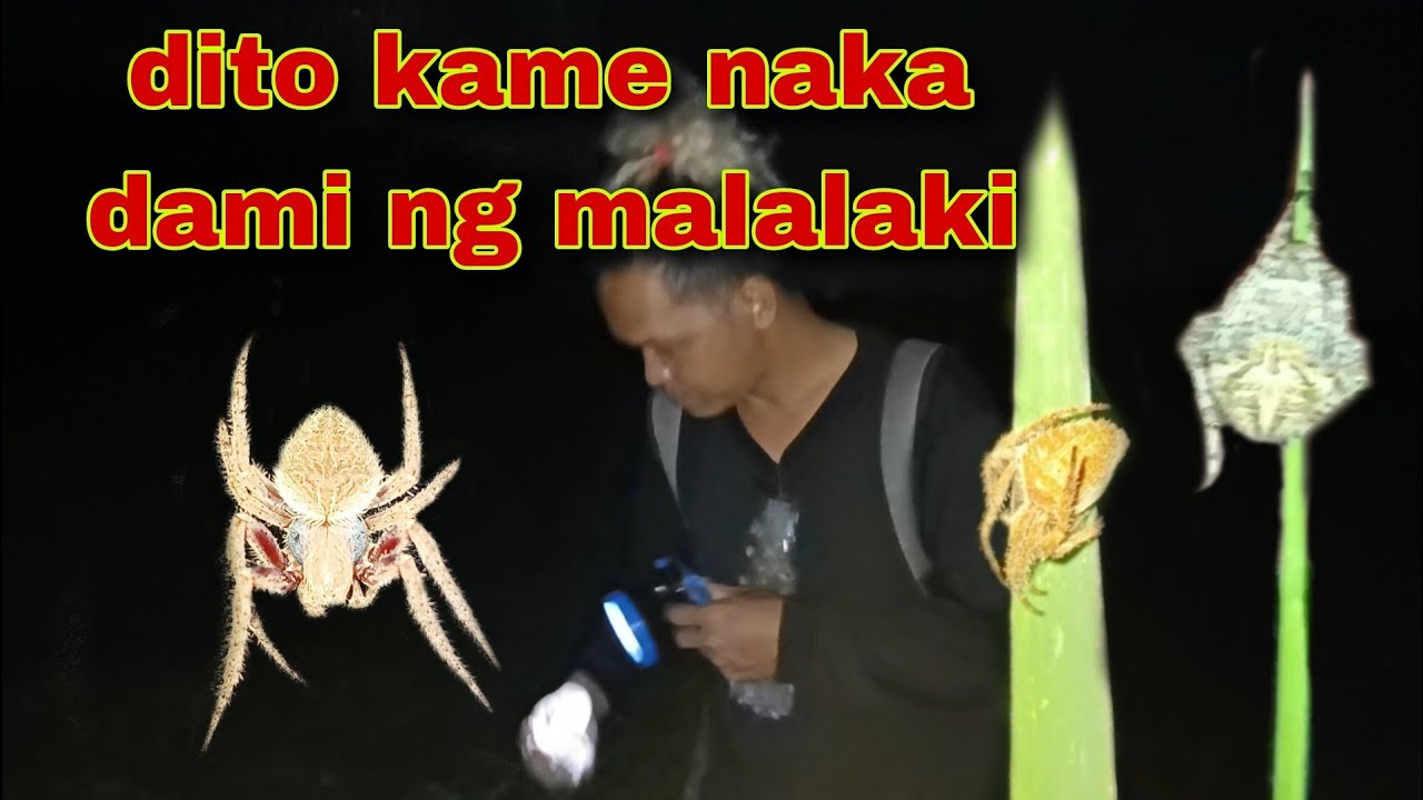 Dito kame naka dami ng malalaki😱 - YouTube