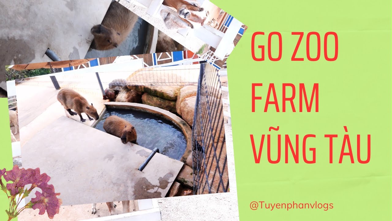 THAM QUAN SỞ THÚ GOZOO FARM Ở VŨNG TÀU@TuyenPhanVlogs - YouTube