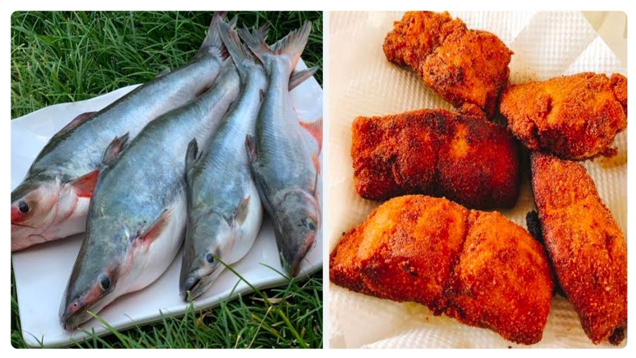 Pangas fish fry. দারুন স্বাদের পাঙ্গাস ফিস ফ্রাই। - YouTube