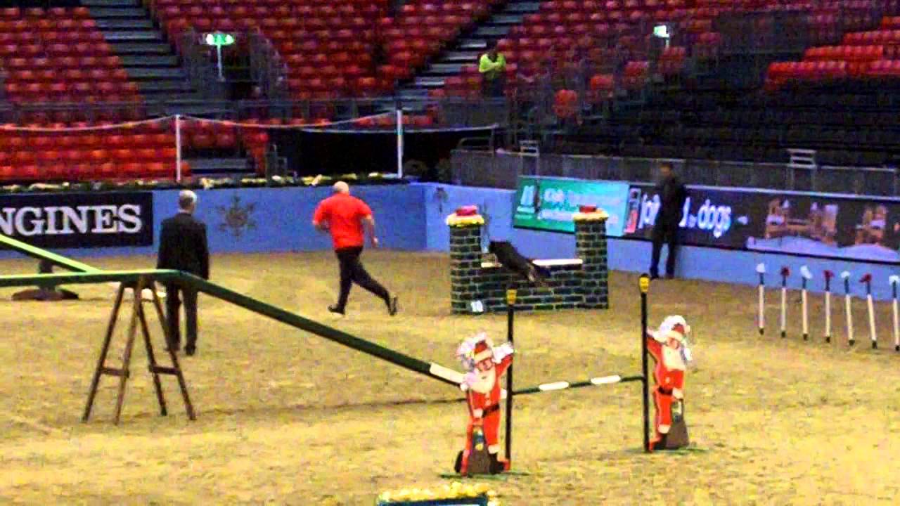 Simon Peachey and DJ Large KC Olympia Agility Stakes Semi-Final - YouTube