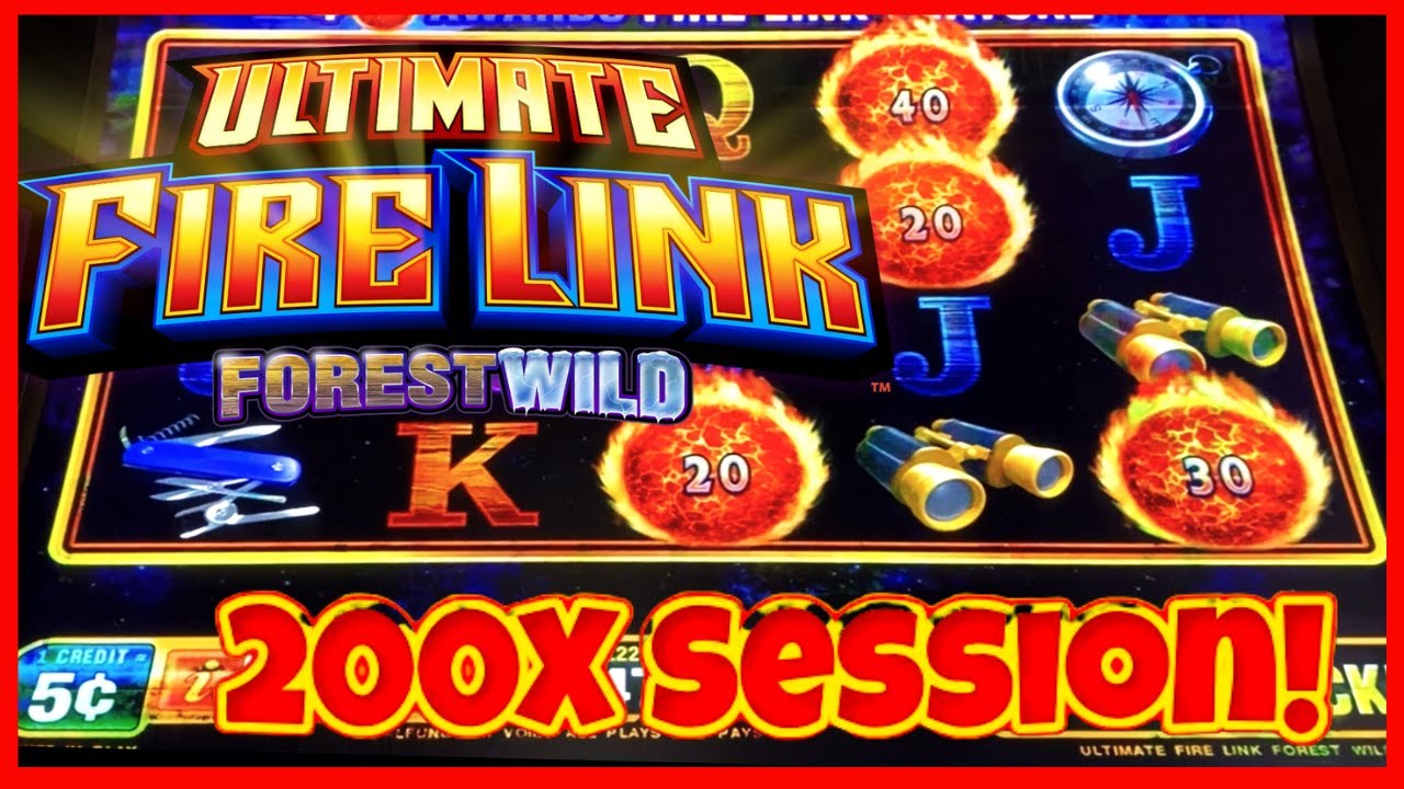 🔥 200X Session on Ultimate Fire Link Slot Machine Forest Wild! 🔗💰 - YouTube