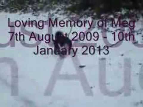 R.I.P Meg,