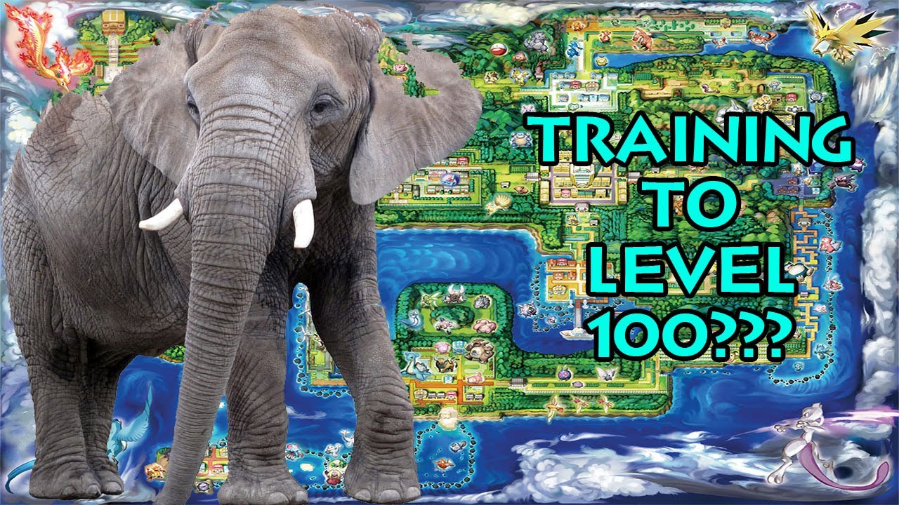 How to train to level 100 in pokemon FR/LG with only an elephant? - YouTube