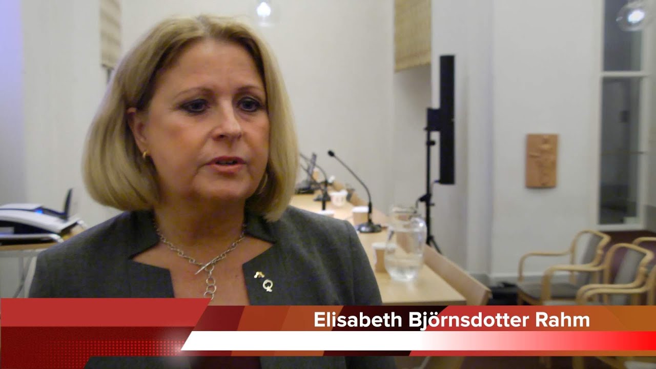 Elisabeth Rahm - Organ Pillaging Laws - Swedish Parliament - YouTube