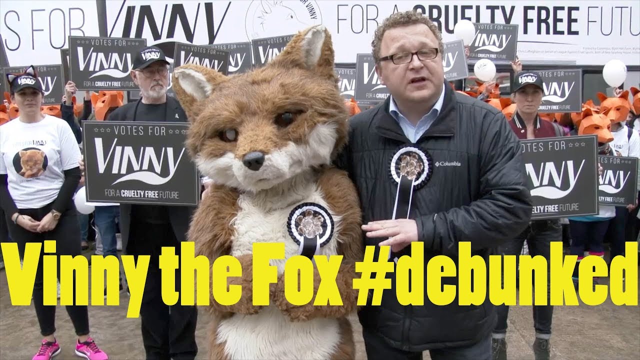 Vinny the Fox #debunked - YouTube