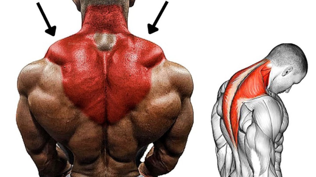 How to Make Your TRAPEZIUS Huge and Brutal (Effective Traps) - YouTube