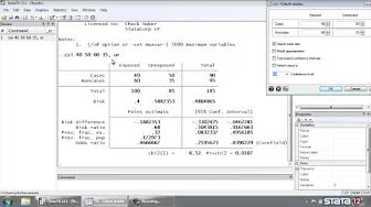 Using Stata® for summary statistics - YouTube