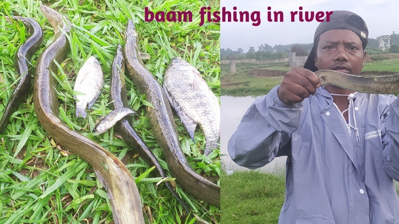 old man catching baam fishing | river fishing | - YouTube
