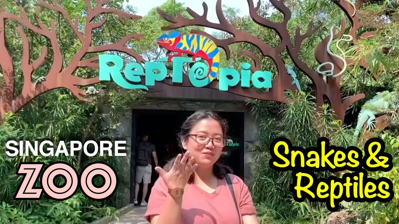 Reptopia Tour | Singapore Zoo - YouTube