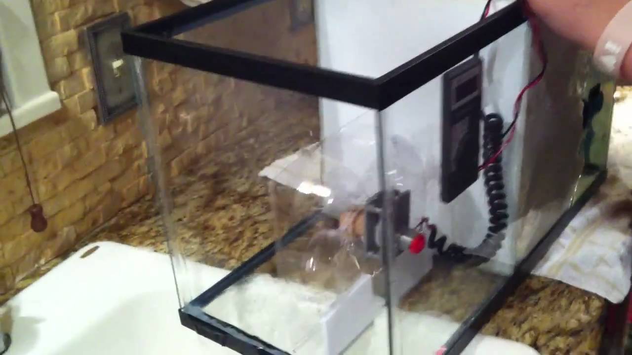 Katheryn Nipp's Micro-Hydroelectric Dam in Operation - 6th Grade ...