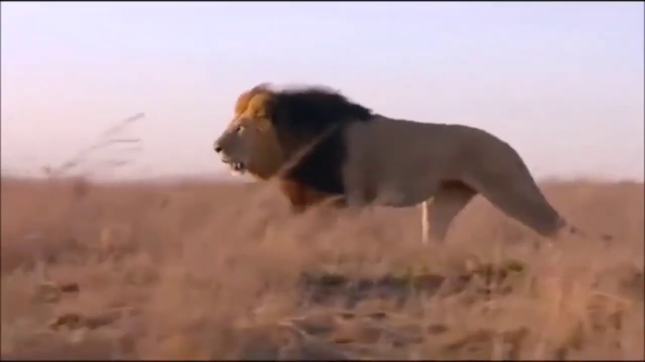 Notch and his five sons - YouTube