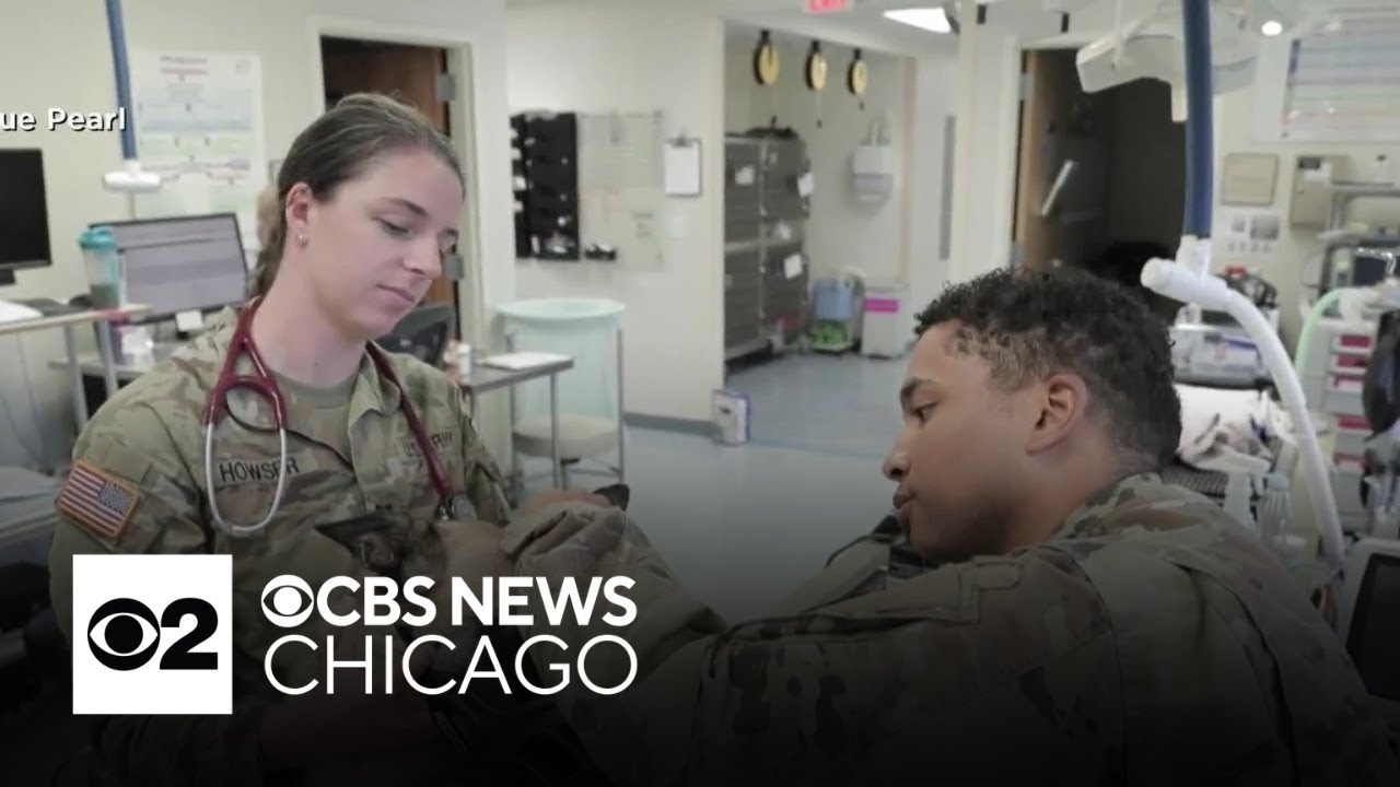 New partnership with U.S. Army aims to help working military dogs - YouTube