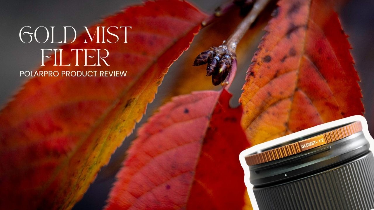 PolarPro Gold Mist Pro Filter Review | Create Cinematic Glow for Photo ...