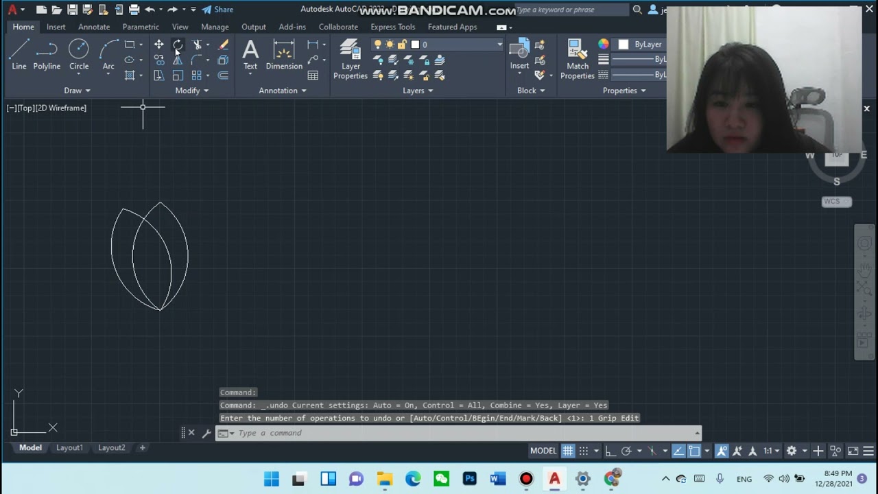 Learning how to draw flower by using Autocad Program- WEEK 1 - YouTube