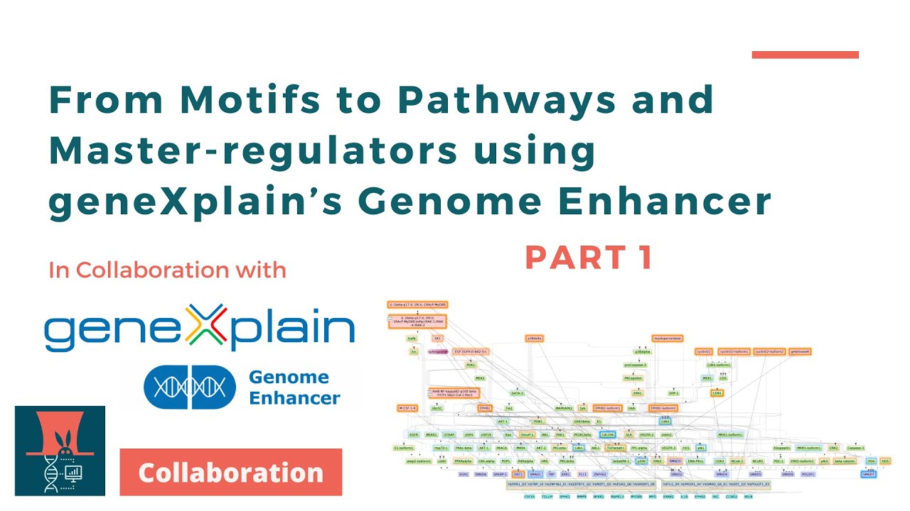 From Motifs to Pathways and Master-regulators (RNA-Seq + ChIP-Seq ...
