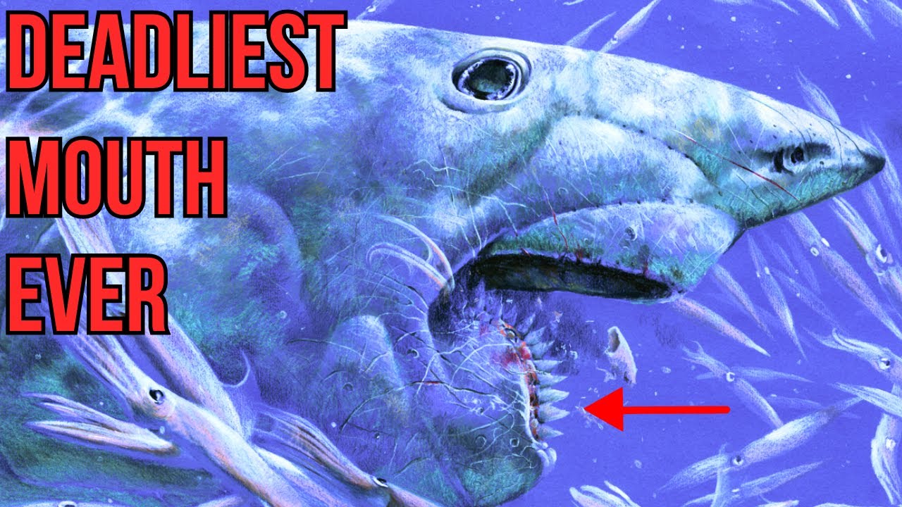 This Deep Sea Creature Was Pure Nightmare Fuel - YouTube