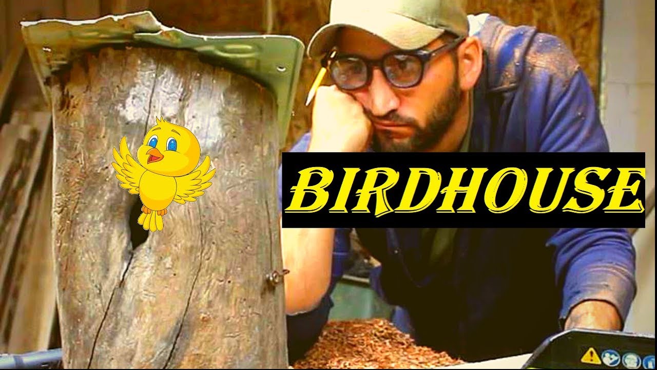 Bird House from old log with license plate shingles - YouTube
